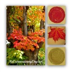 {Framed!} A Simple DIY Fall Leaf Display - An Extraordinary Day
