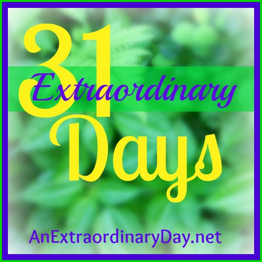 20 Extraordinary Little Things... - An Extraordinary Day