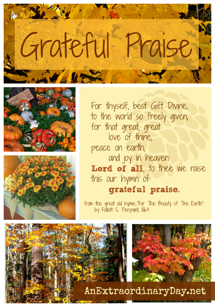 {7 Days of Thanksgiving} A Day for Grateful Praise - An Extraordinary Day