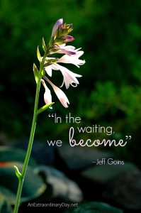 In the waiting.... - An Extraordinary Day