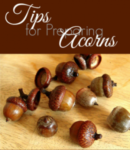 How to Make Pine Cones Pop :: Dry and Debug Pine Cones - An Extraordinary Day