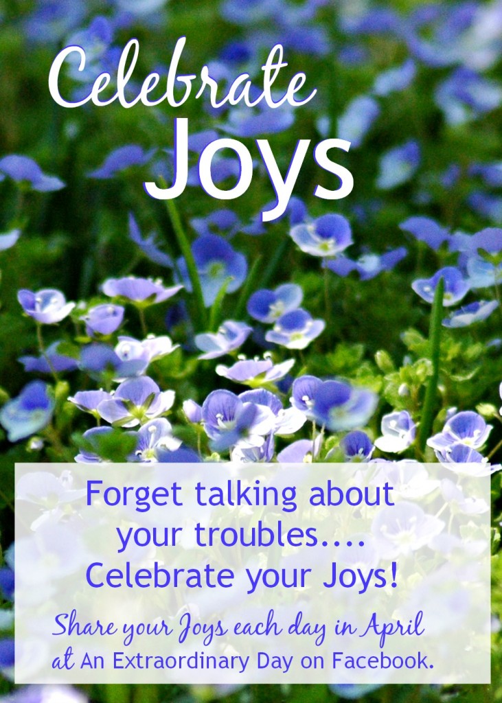 Celebrate Your Joys - An Extraordinary Day
