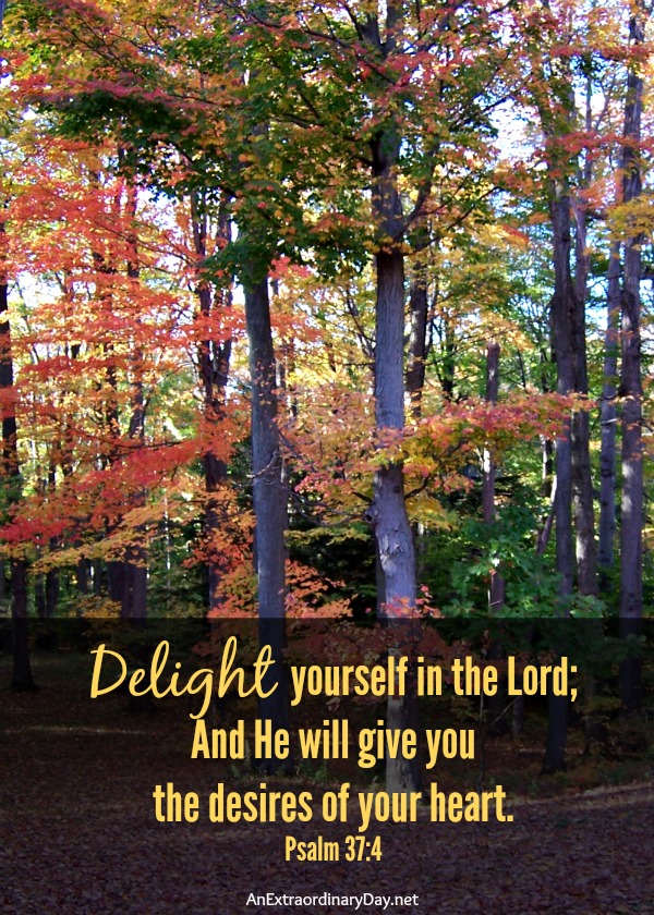 The Desires of Your Heart :: Joy Day! | An Extraordinary Day