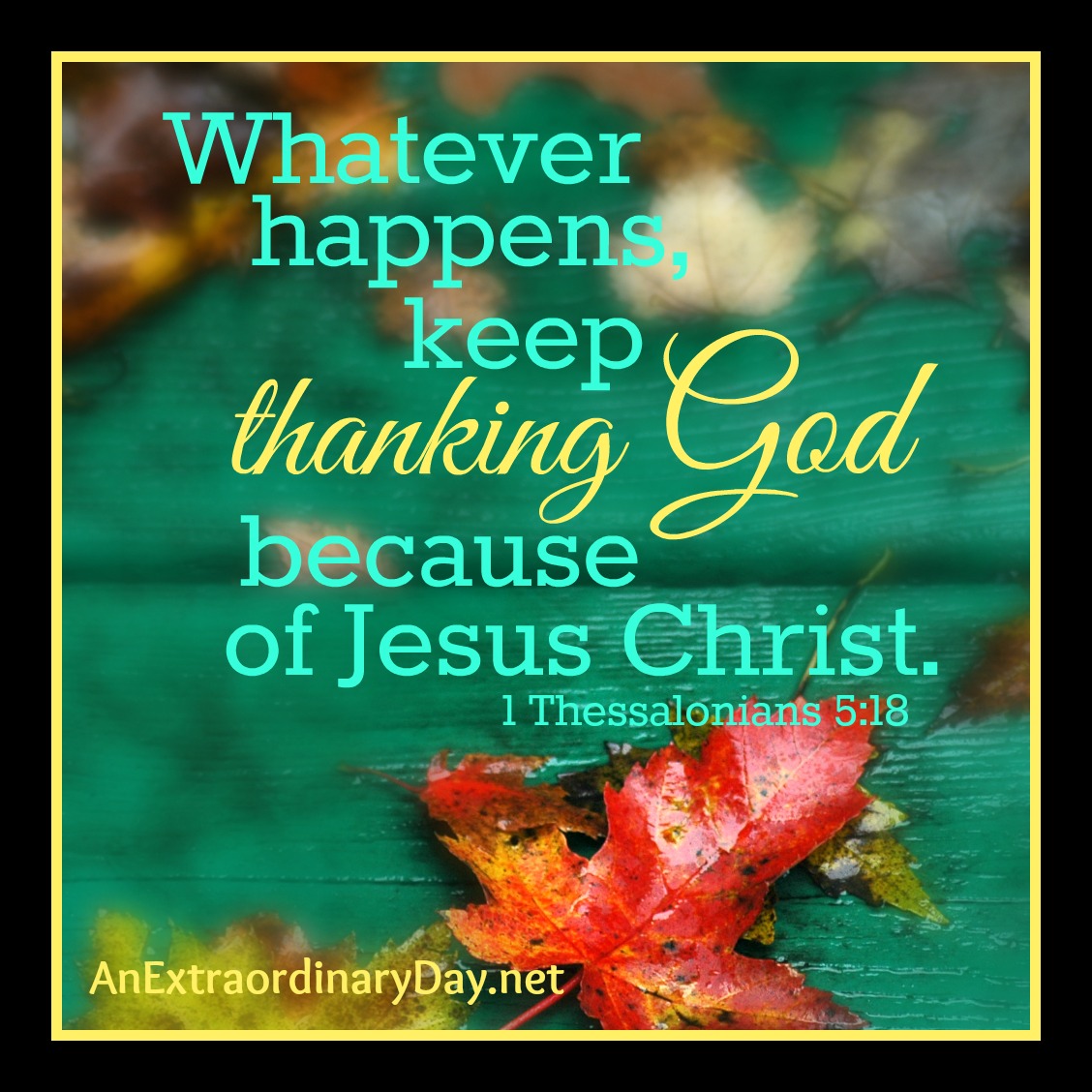 Keep Thanking God... :: Joy Day! - An Extraordinary Day