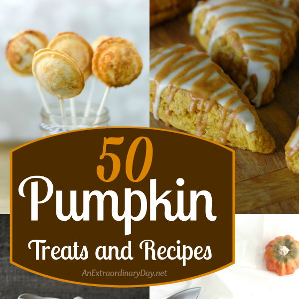 50 Pumpkin Treats and Recipes to Make You Drool - An Extraordinary Day