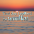 That day I settled for second best... | JoyDay! - An Extraordinary Day
