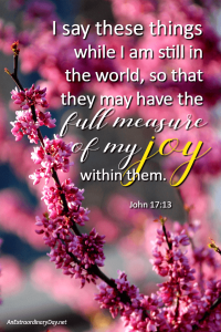 Jesus Prayed for Your Protection and Joy | JoyDay! - An Extraordinary Day