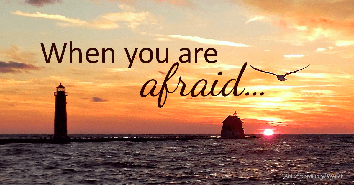 What to do when you are afraid... | It's JoyDay! - An Extraordinary Day